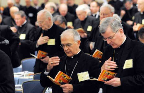 Kneel, stand, hold hands? Bishop aims to end Mass confusion - UCA News