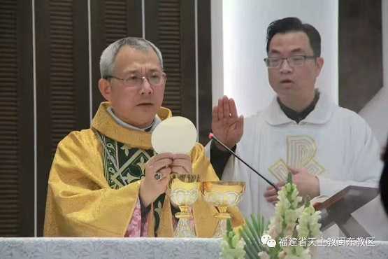 Chinese bishops are being played by Beijing - UCA News
