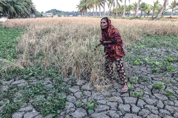 Hungry Mindanao farmers feel heat as drought starts to bite - UCA News
