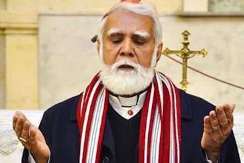 Cardinal named head of Christian research center in Pakistan - UCA News