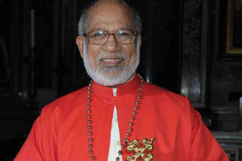 India's Eastern Church sees sinister plan to oust cardinal - UCA News