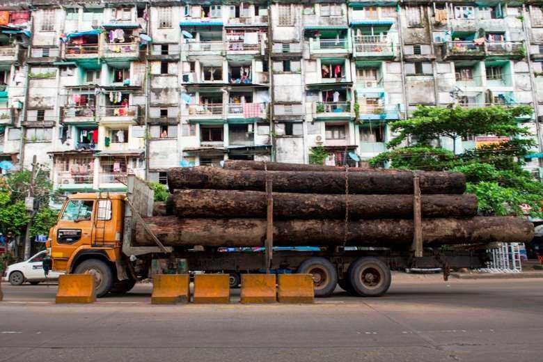 Italy flouts EU sanctions to trade in Myanmar's illegal timber - UCA News