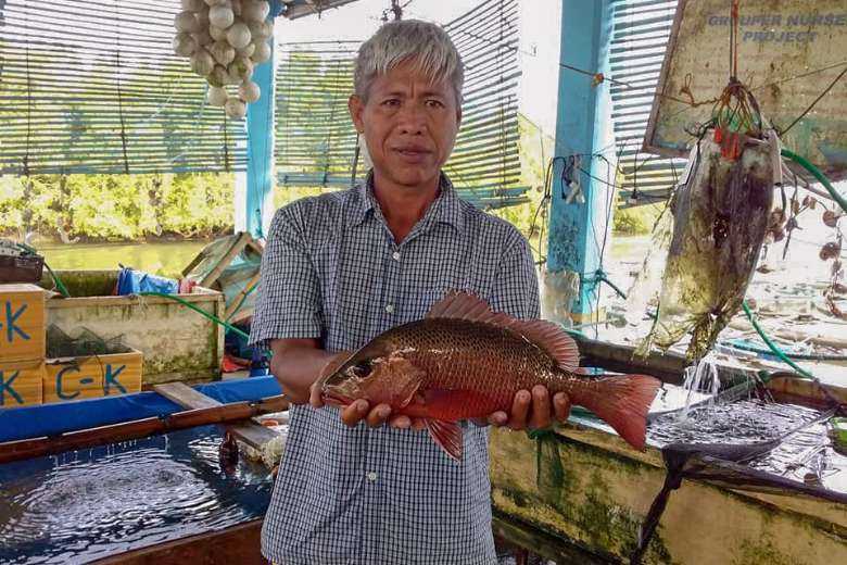 Magsaysay award winners transform lives, societies - UCA News