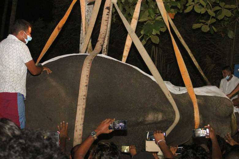 Sri Lankan Buddhists mourn passing of revered elephant - UCA News