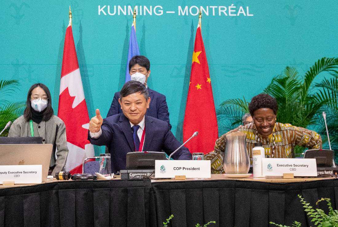 Chinese diplomacy helps seal historic nature deal - UCA News