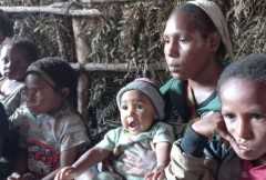 Indonesia's transmigration program threatens Papuans - UCA News