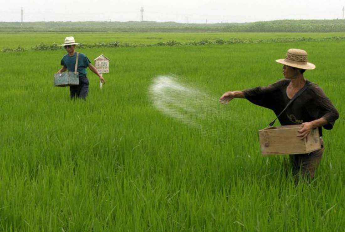 Millions go hungry amid food crisis in North Korea - UCA News