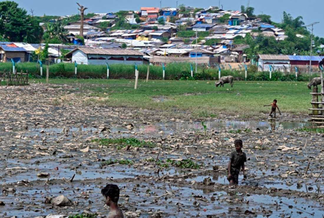 Dengue fever threat looms large in Bangladesh’s Rohingya camps - UCA News