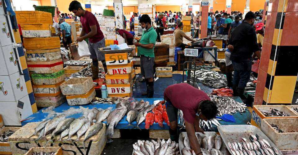 Sri Lankan Catholics counter fisher union’s ‘false propaganda' - UCA News