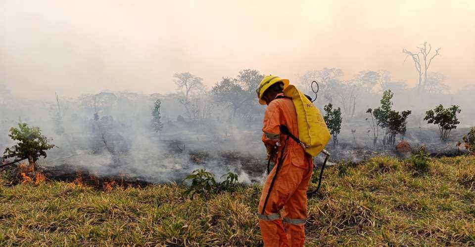 Bishops warn of lasting damage to 'Mother Earth' in Bolivia - UCA News