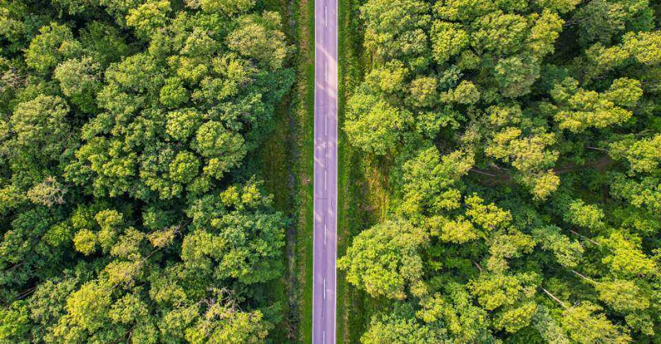 Ecological Conversion and the interconnectivity of creation - UCA News