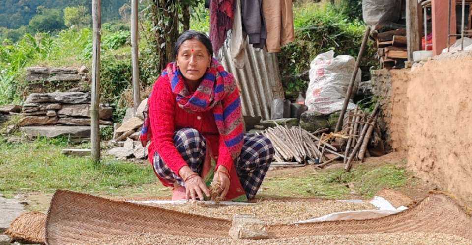 Climate change sees Nepalese farmers return to indigenous crops - UCA News