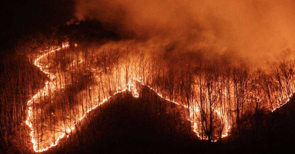 South Korea deploys choppers, troops to battle wildfire - UCA News