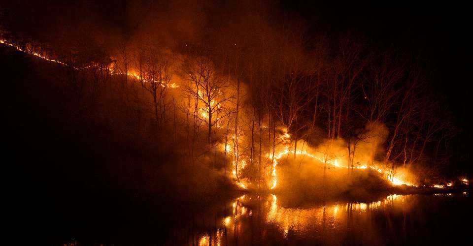 S. Korea wildfires 'largest on record': disaster chief - UCA News