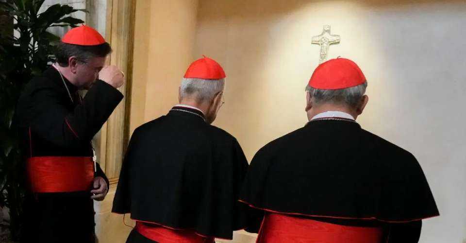 Next pope must be open to all, say some cardinals - UCA News