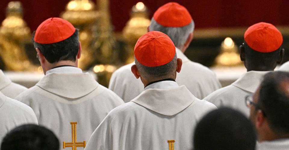 The conclave's cardinals in numbers - UCA News