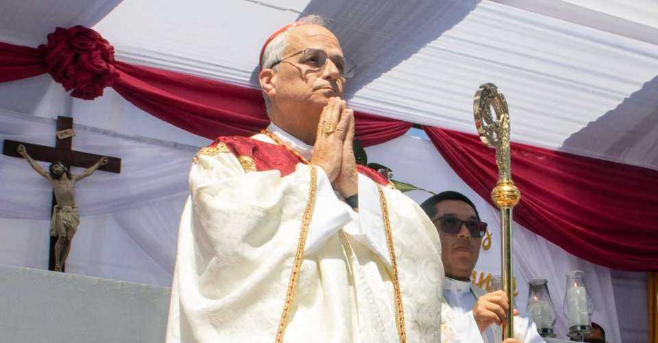 Pope Leo XIV, then Cardinal Prevost, shared articles critical of Trump ...