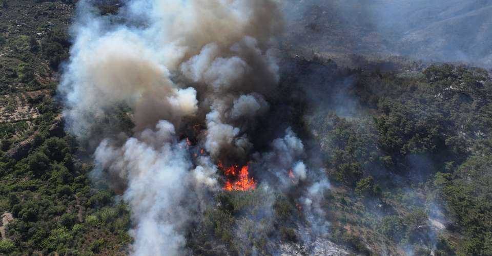 Syria fights 'catastrophic' wildfires; UN calls for global aid - UCA News