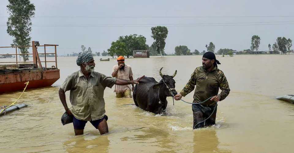 Christians, govt rush aid to flood victims in India’s Punjab - UCA News