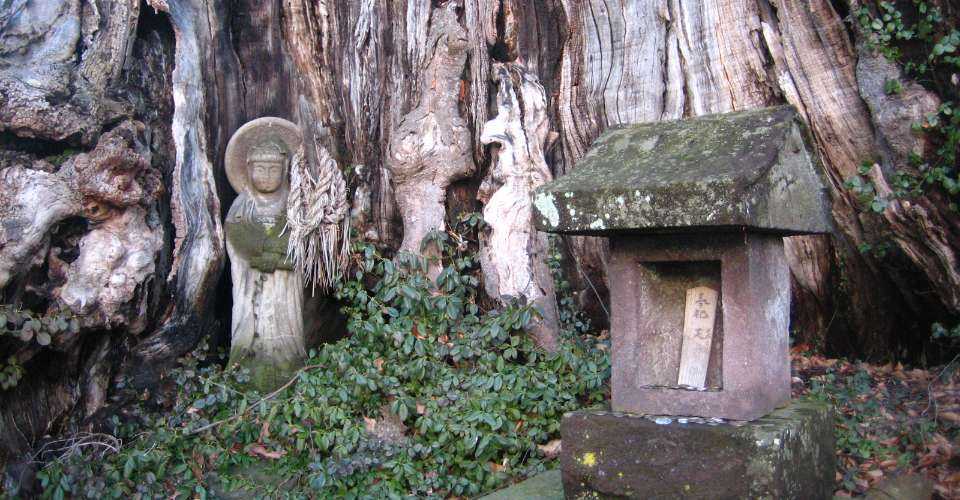 Catholics plan new pilgrimage route to honor Japan's ‘hidden Christians ...
