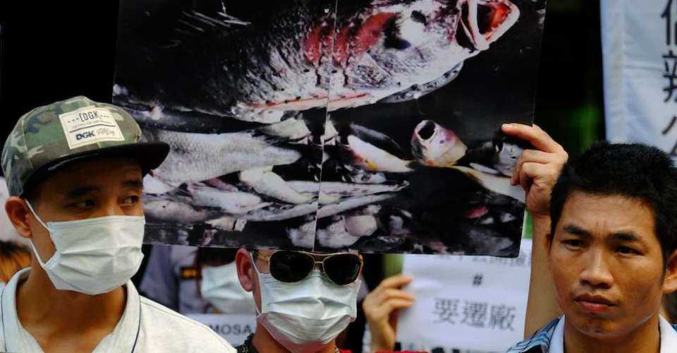 Vietnam fishers still count the cost of Formosa disaster - UCA News