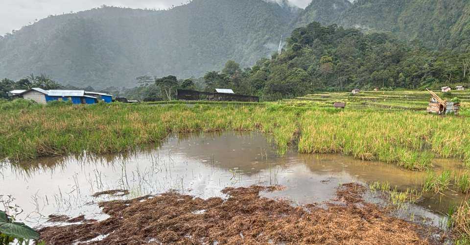 Church, activists demand end of land dispute in Indonesia’s Flores ...