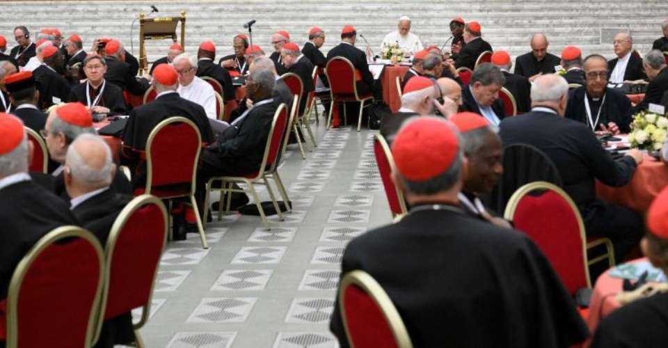 Cardinals say Pope Leo's consistory fostered dialogue and unity - UCA News